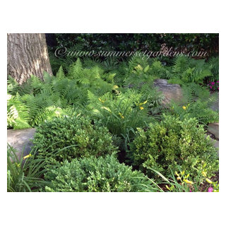 Fern Bed - Traditional - Landscape - New York - by User | Houzz