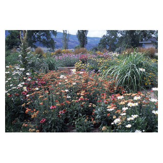 Flowers in Space - Traditional - Landscape - Denver - by MARPA DESIGN ...