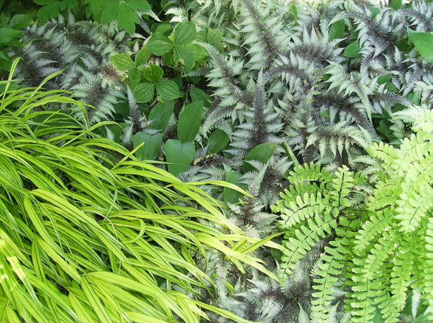 9 Plants With Amazing Foliage for Summer