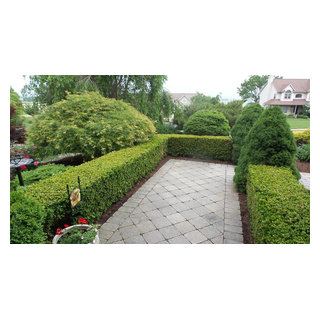 Formal entry with walkway and boxwood hedge - Traditional - Landscape ...