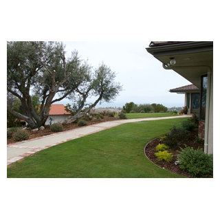 Front entry Bermuda Grass. - Traditional - Garden - Los Angeles - by ...
