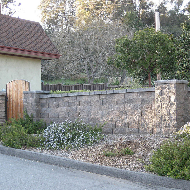 Front Yard Courtyard Ideas - Photos & Ideas | Houzz