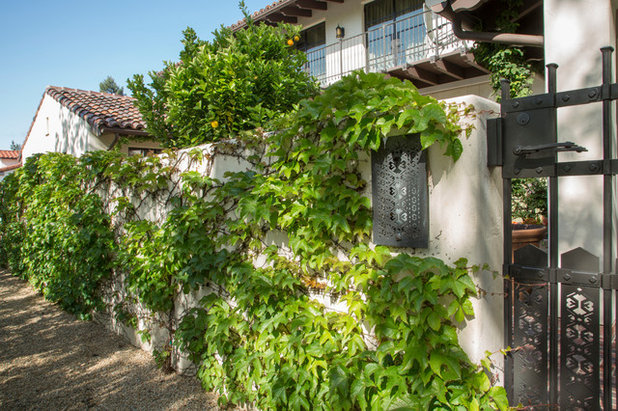 Tour 5 Gorgeous California Gardens