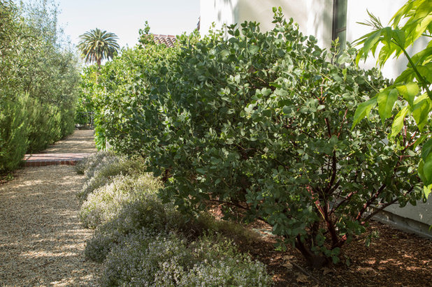 Tour 5 Gorgeous California Gardens