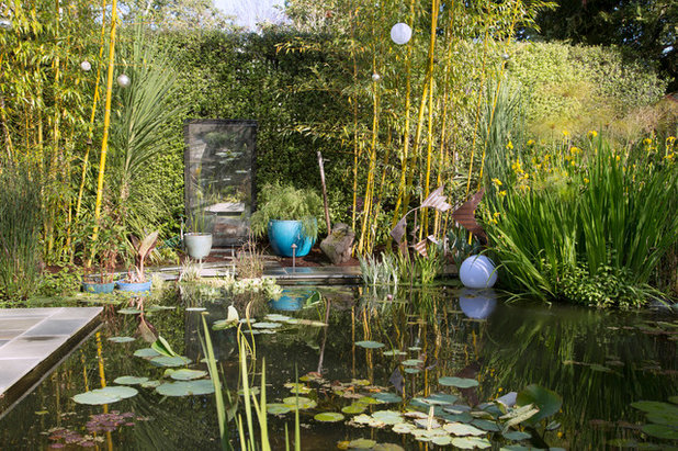 Tour 5 Gorgeous California Gardens