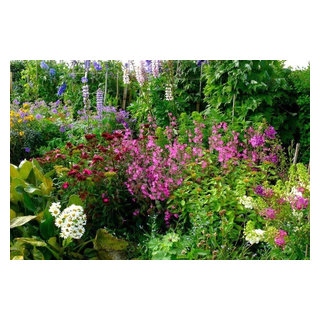 Garden Design - Traditional - Landscape - Chicago - by Denise Dering ...