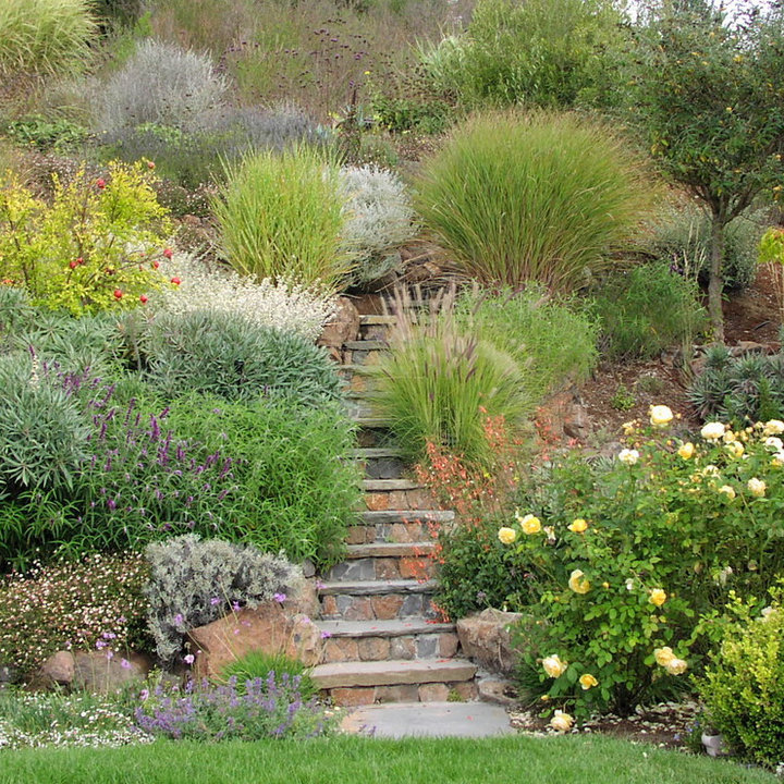 75 Beautiful Sloped Garden Ideas and Designs - August 2025 | Houzz UK