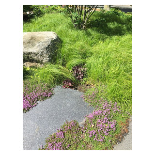 Garland Residence - Traditional - Landscape - Boston - by Elizabeth ...