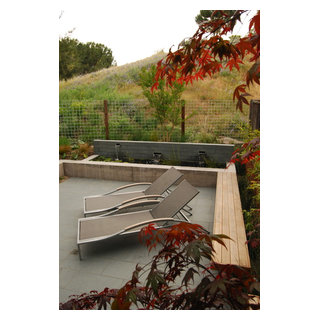 Garnet Residence - Modern - Garden - San Francisco - by Envision ...