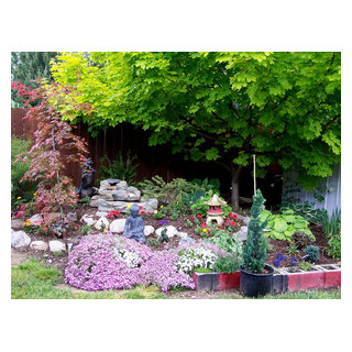 General introduction photos of various projects over past 10 years ...