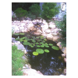 Goldfish Pond & Waterfall Build - Asian - Landscape - Boston - by ...