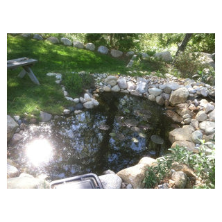 Goldfish Pond & Waterfall Build - Asian - Landscape - Boston - by ...