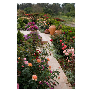 Grace Design Associates - Traditional - Landscape - Santa Barbara - by ...