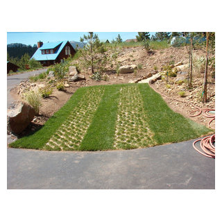 Green Additional Parking Pad - Contemporary - Landscape - Other - by ...