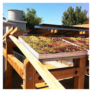 green roof modular system - Farmhouse - Landscape - Orange County - by ...
