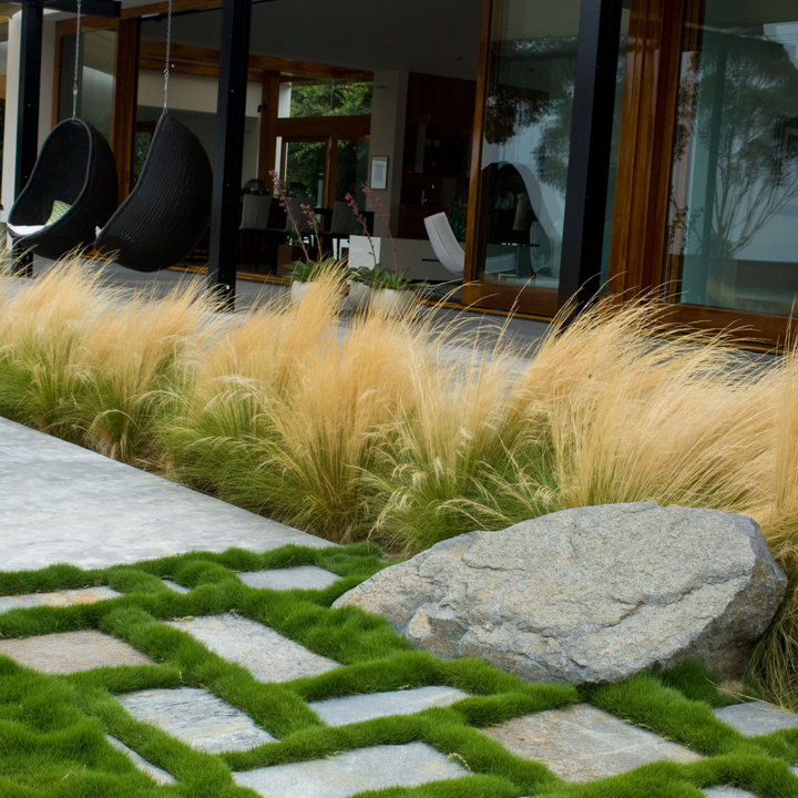 75 Beautiful Grass Between Pavers Home Design Ideas & Designs | Houzz AU