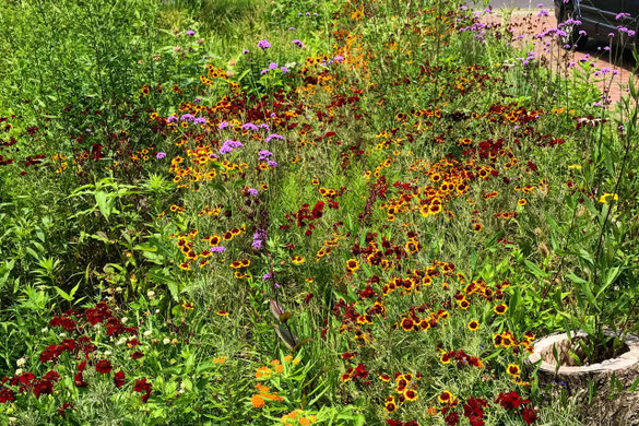 STEPHEN COAN GARDEN DESIGN – DESIGN/INSTALL - Project Photos & Reviews ...