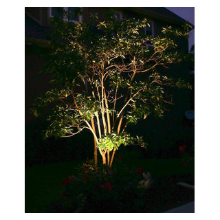 Hansen House and Landscape Lighting - Transitional - Landscape - Kansas ...