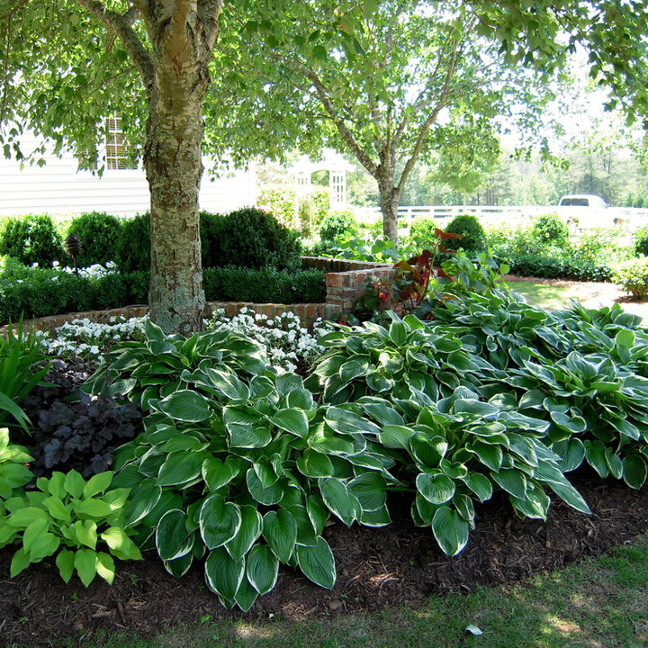 75 Landscaping Ideas You'll Love - December, 2022 | Houzz