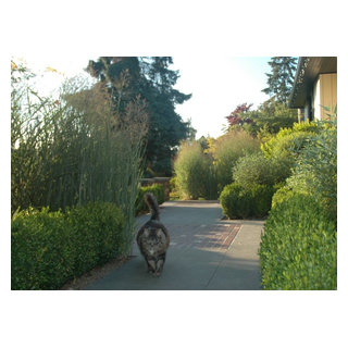 Hawthorne Hills - Contemporary - Landscape - Seattle - by ...