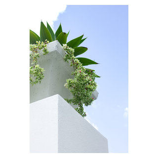 Hedge hug - Traditional - Landscape - Miami - by The Mirror of Paradise ...
