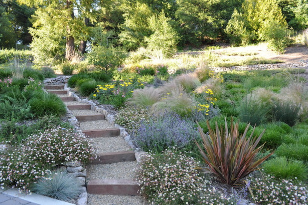 15 Great Ideas for a Lawn-Free Yard