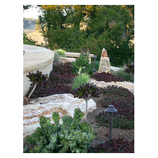 Hillside infinity edge swimming pool and spa - Modern - Landscape - San ...