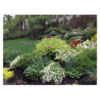 Hillside with rugged stone path - Traditional - Landscape - Boston - by ...