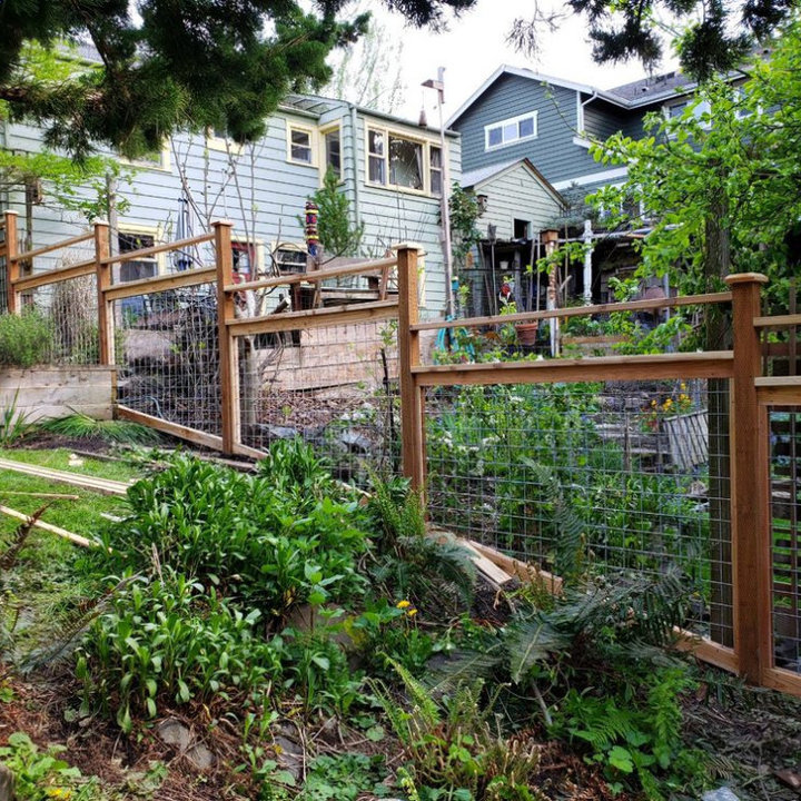 Hog Wire Panel Fencing - Photos & Ideas | Houzz
