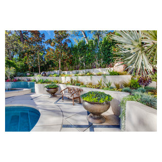 Hollywood Hills Landscape Design Project - Contemporain - Jardin - Los ...