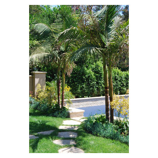 Hot Days - Contemporary - Landscape - Los Angeles - by BlueGreen ...