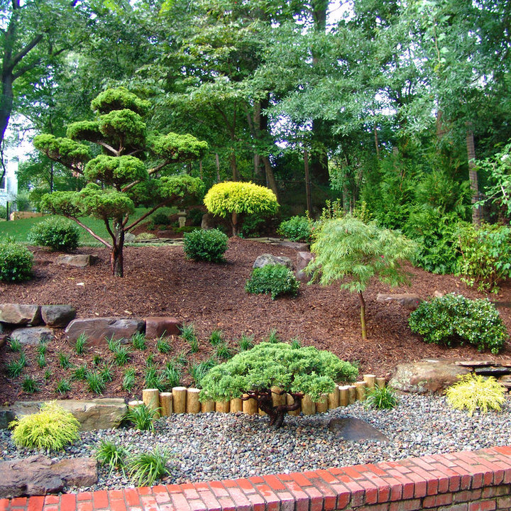 75 Beautiful Asian Garden Ideas & Designs - March 2022 | Houzz AU