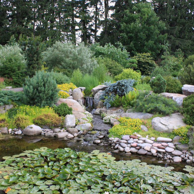 Japanese Garden - Photos & Ideas | Houzz