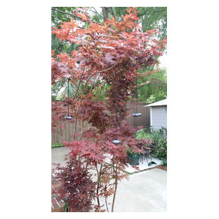 Japanese tree weights / Shaping technique - Asian - Landscape ...