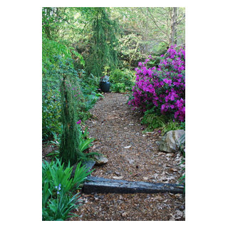 Jay Sifford - Contemporary - Landscape - Charlotte - by Jay Sifford ...