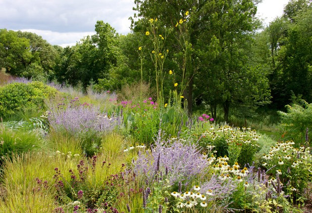 10 Top Flowering Native Plants for Beauty and Wildlife Benefit