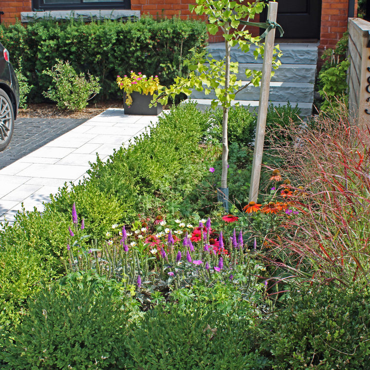 75 Beautiful Parking Pad Front Yard Home Design Ideas & Designs | Houzz AU