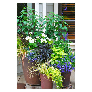 Kirkland Gardens - Contemporary - Landscape - Seattle - by Simply ...