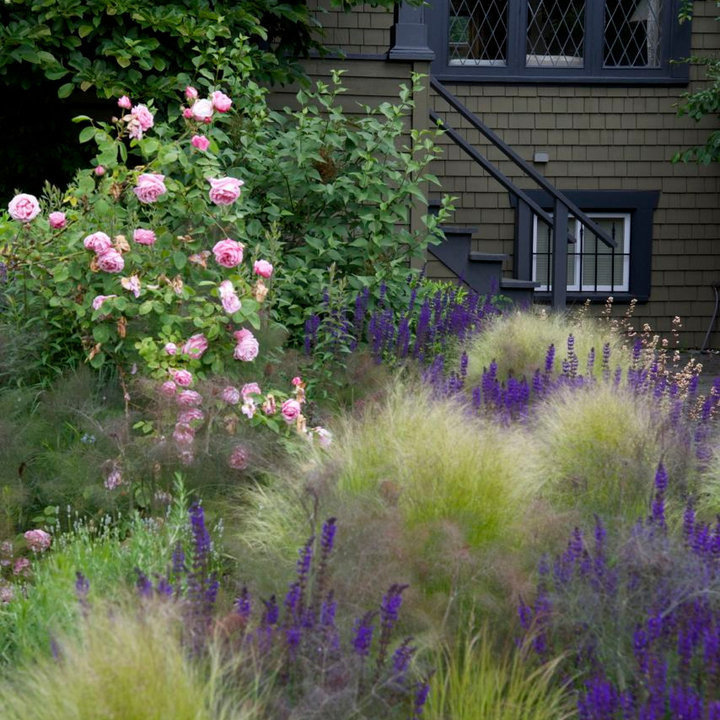 75 Beautiful Front Garden Ideas and Designs - April 2024 | Houzz UK