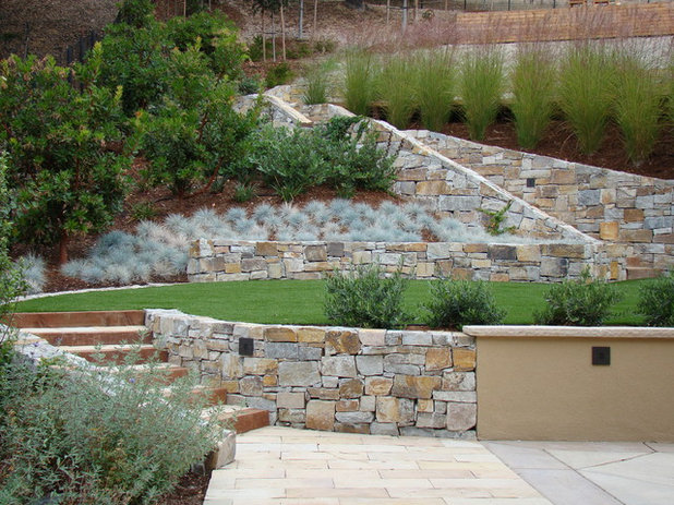 Steeply Beautiful Slope Retention