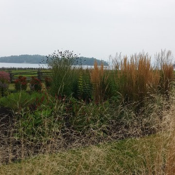 Lakefront Landscape - Photos & Ideas | Houzz