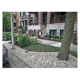 Lakeview Front Yard & Parkway - Contemporary - Landscape - Chicago - by ...