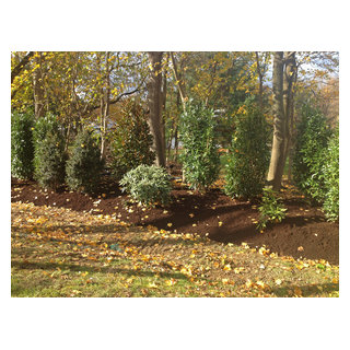 Landscape Buffer Planting - Landscape - Other - by C.E. Pontz Sons | Houzz