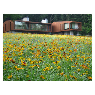 Landscape Field of Flowers in Litchfield County Connecticut ...