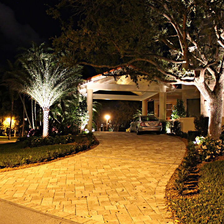 75 Beautiful Tropical Garden Ideas & Designs - July 2022 | Houzz AU