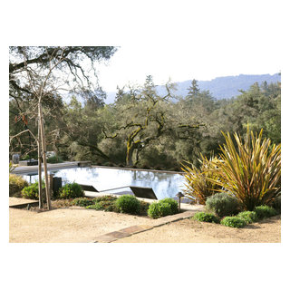 Landscaped Pool - Contemporary - Landscape - San Francisco - by Arterra ...