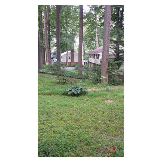 Landscaping and river rock drainage swale - Traditional - Landscape ...