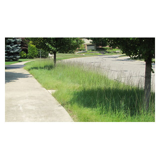 Lawn Extension Prairie Grass Planting - Traditional - Landscape ...