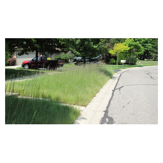 Lawn Extension Prairie Grass Planting - Traditional - Landscape ...