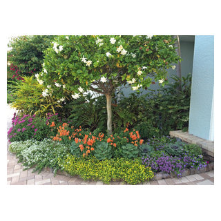 Layered flower beds - Beach Style - Landscape - Tampa - by Siobhan's ...